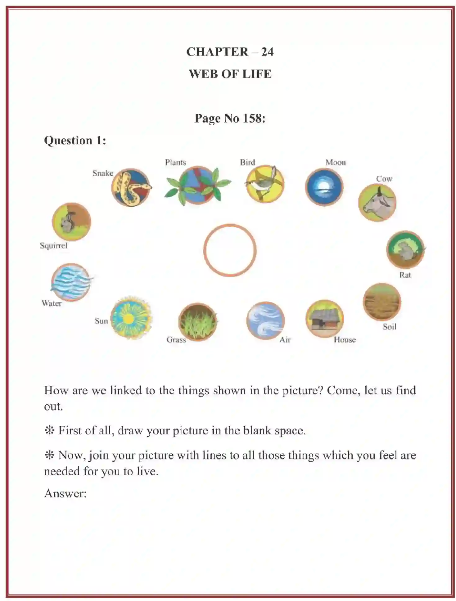 Class 3 Looking Around (EVS) Chapter 24 Web of Life Solution