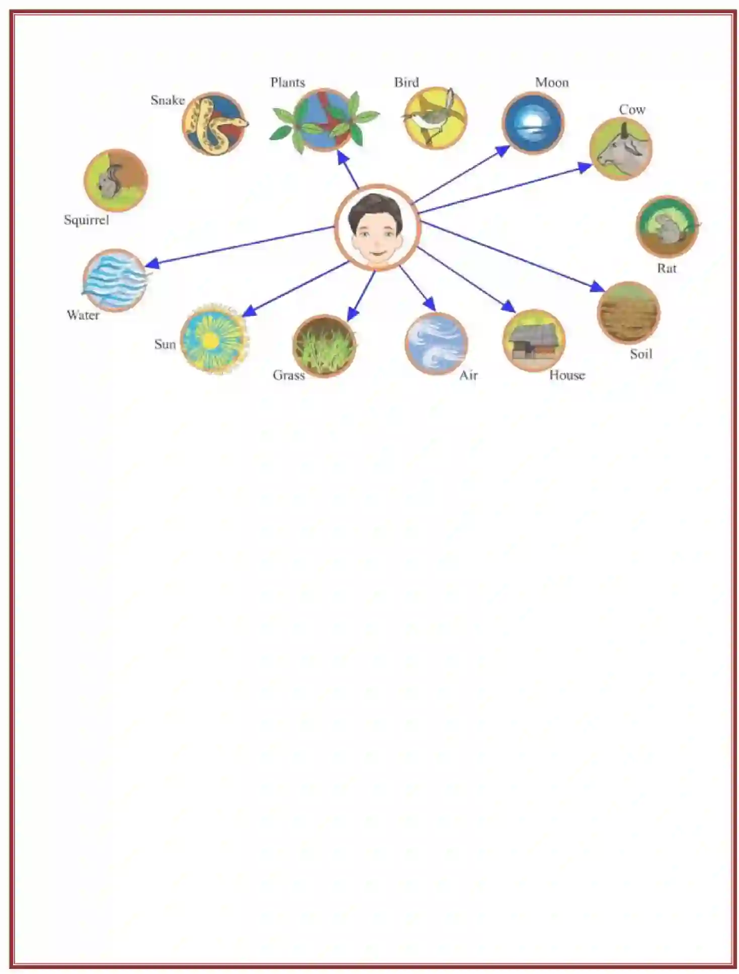 Class 3 Looking Around (EVS) Chapter 24 Web of Life Solution