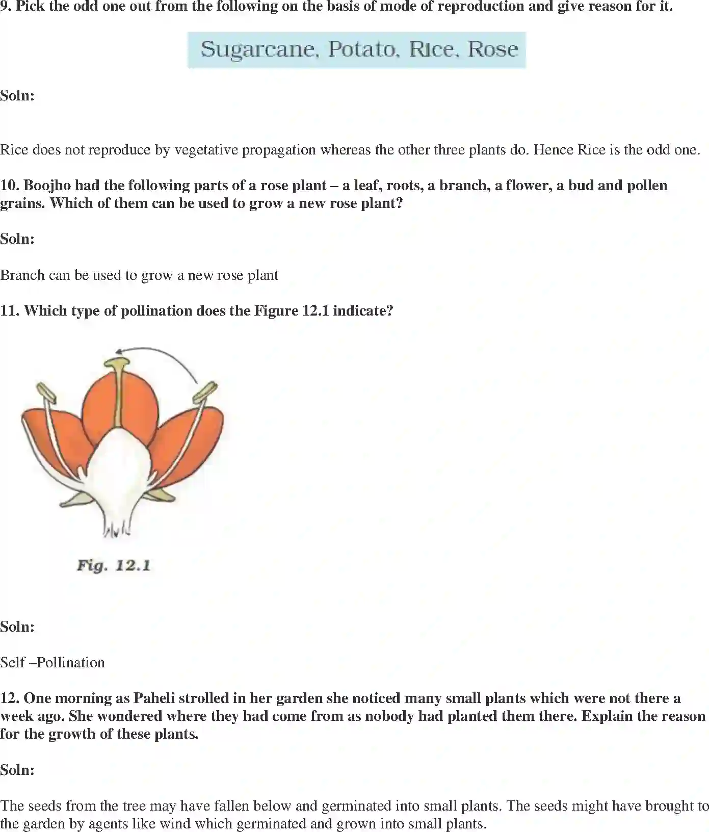 Class 7 Science Exemplar Reproduction in Plants Exemplar Solution