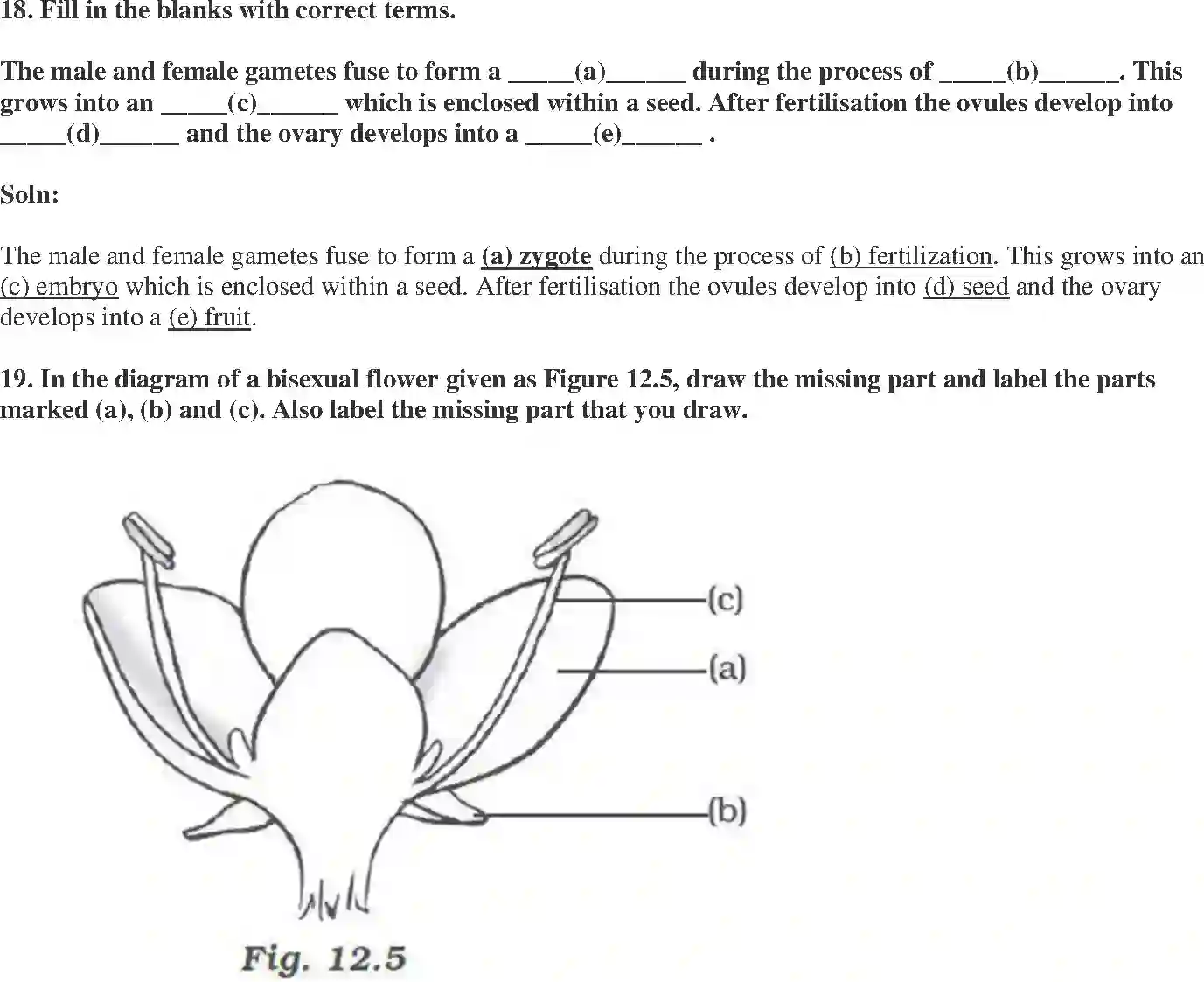 Class 7 Science Exemplar Reproduction in Plants Exemplar Solution